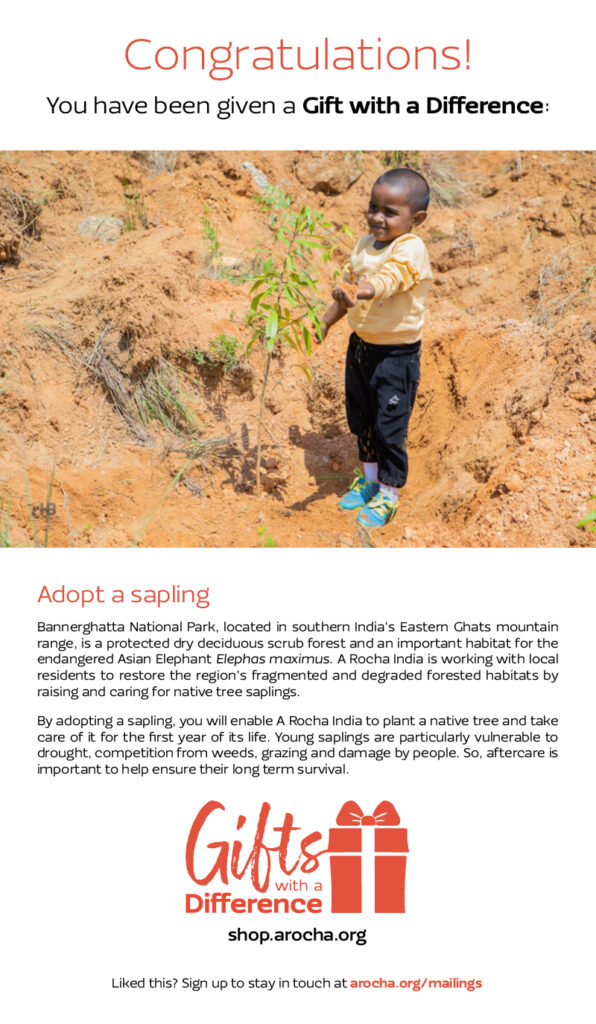 Adopt a sapling, India – Gifts with a Difference