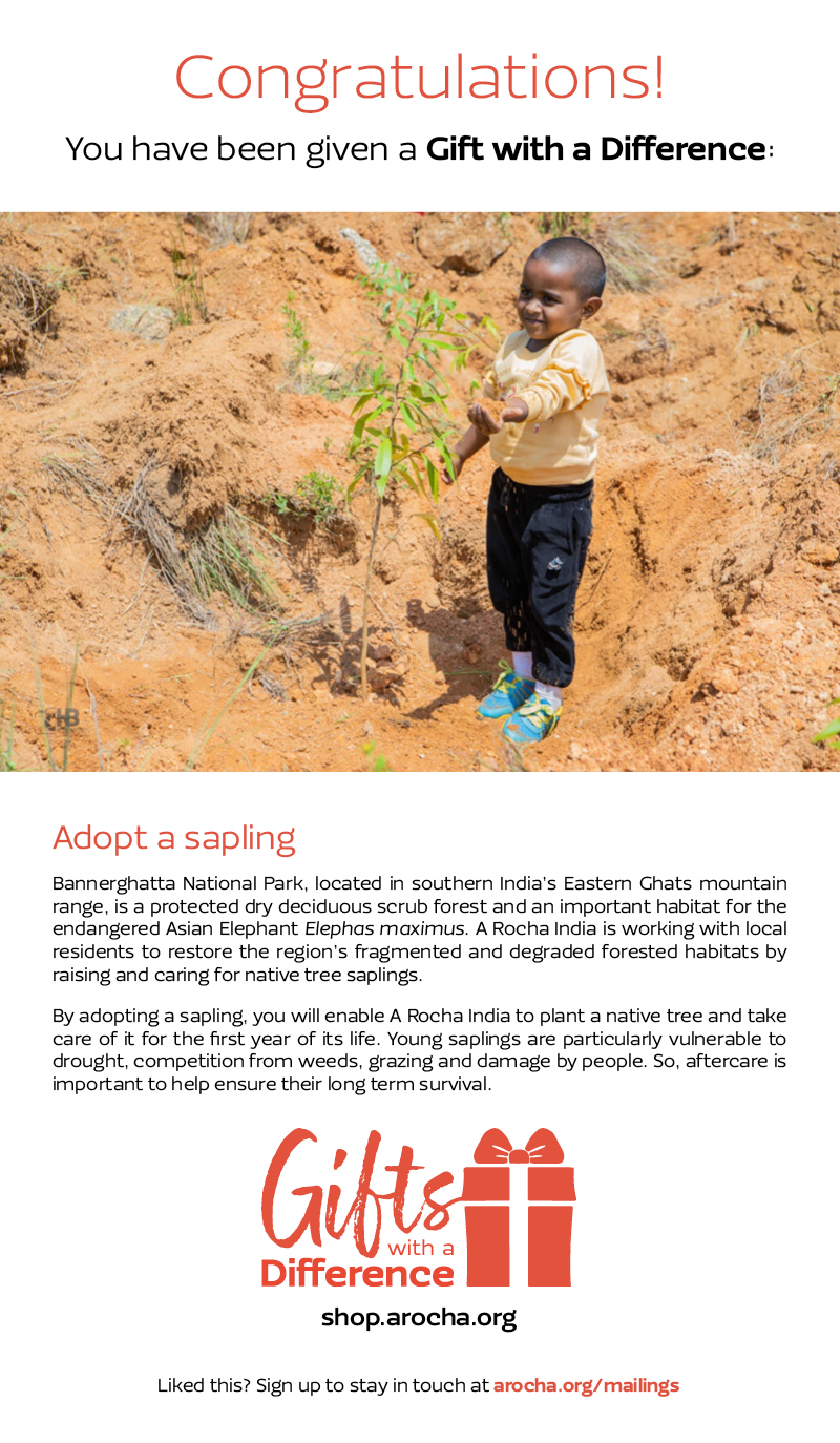 Adopt a sapling, India – Gifts with a Difference