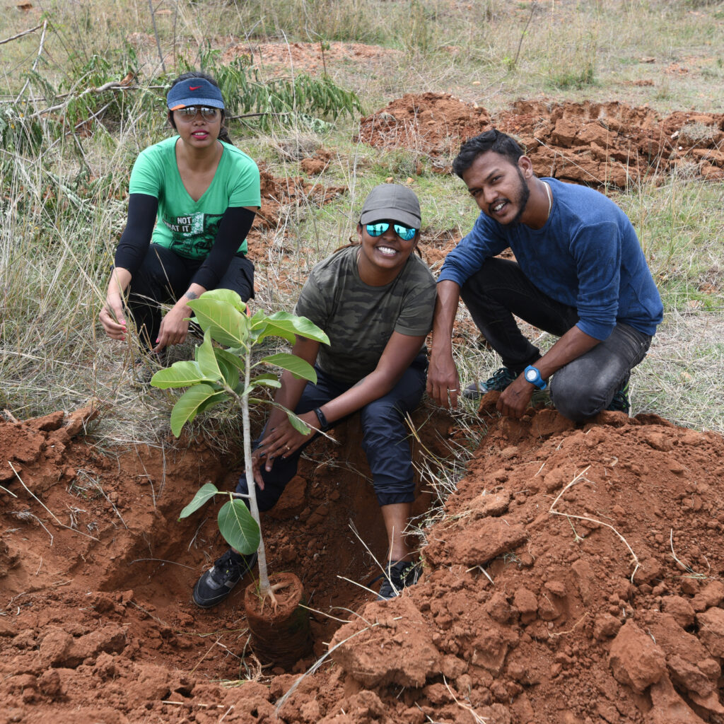 Adopt a sapling, India – Gifts with a Difference