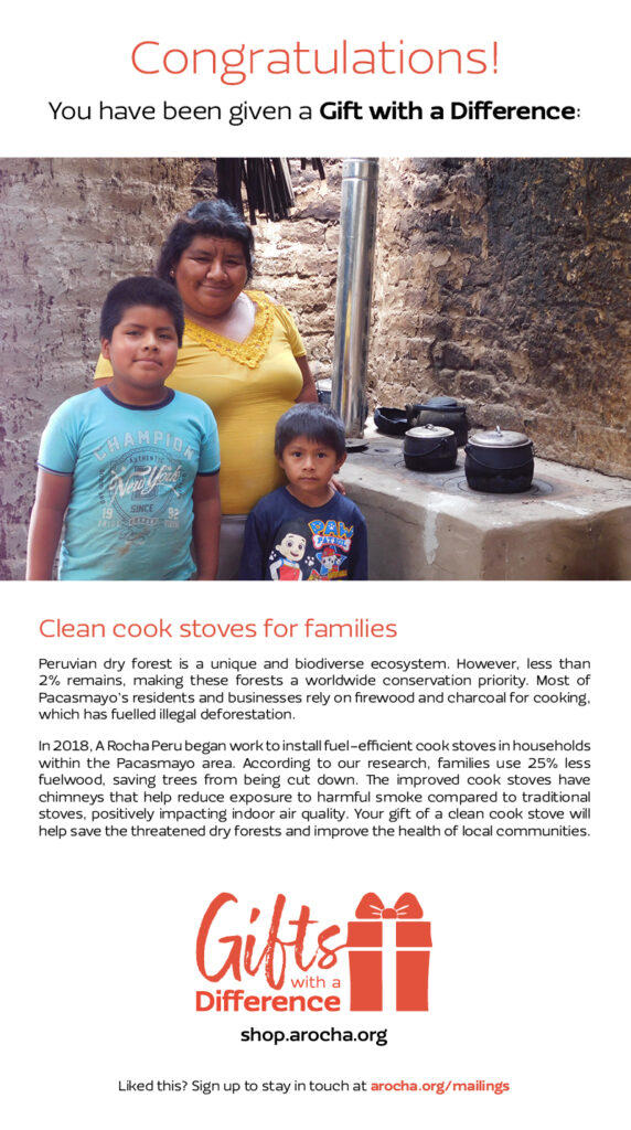 Clean cook stoves for families – Gifts with a Difference